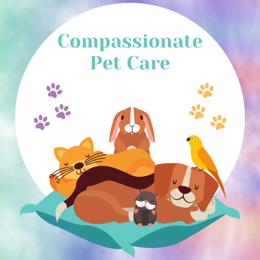 In-Home and Insured Pet Sitting. 11+ Years of Experience.